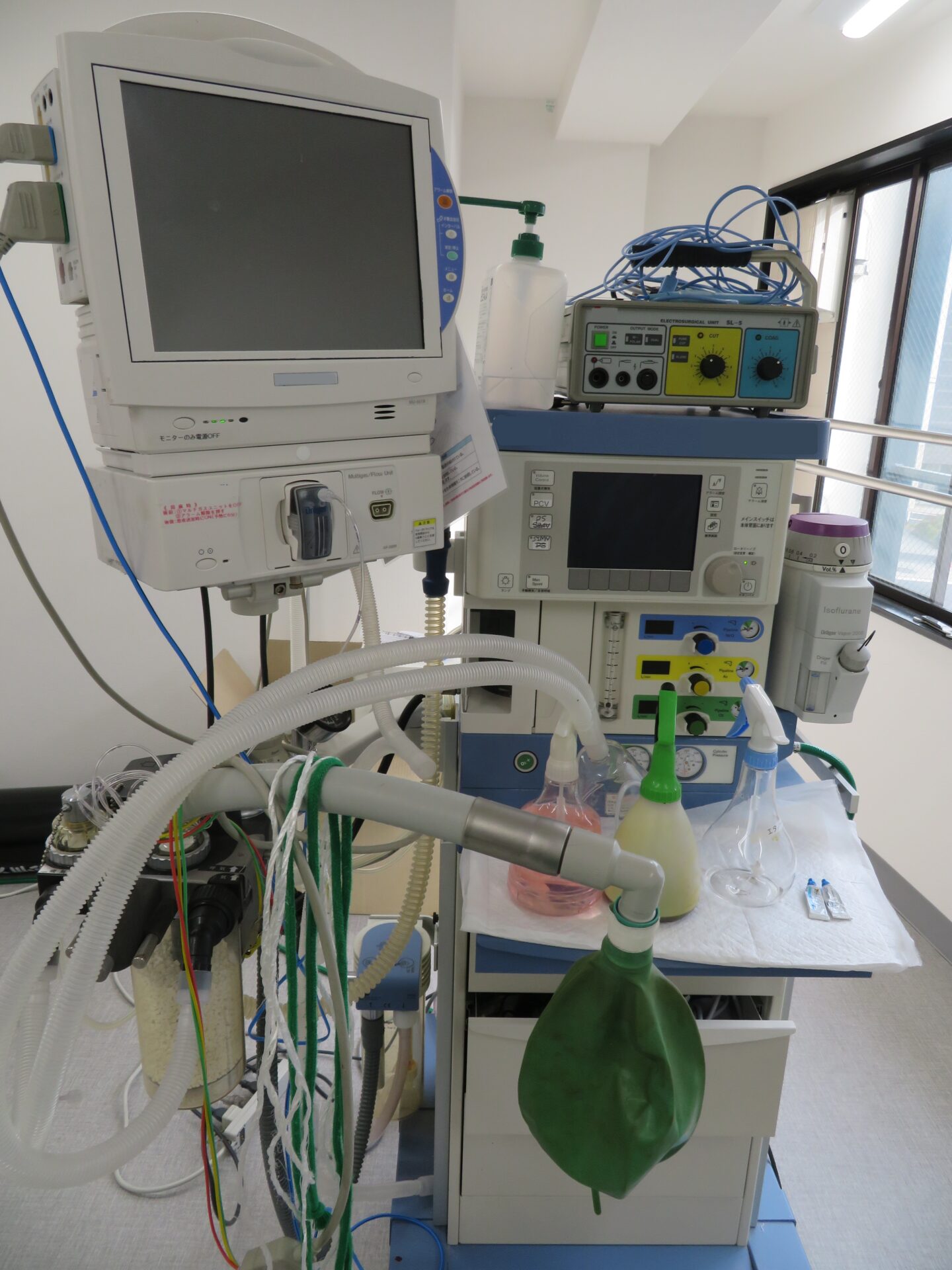 当院について - いまい動物病院